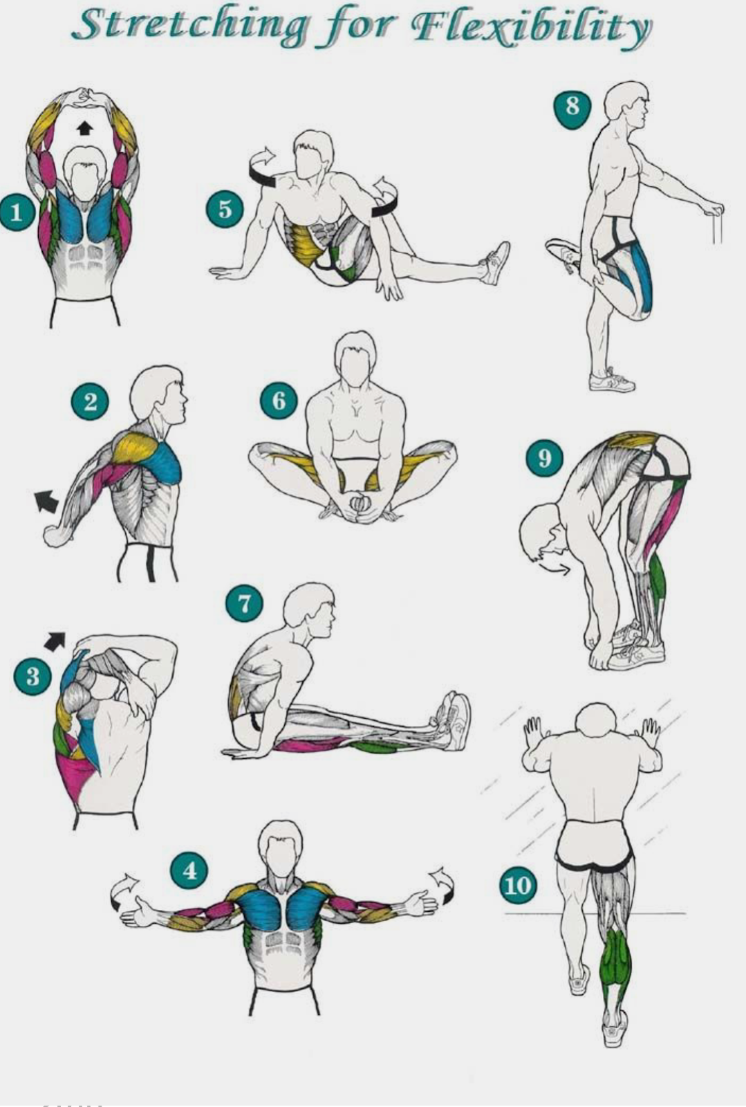 Infinitum life care: General body stretching