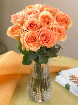 Dozen Peach Roses ~ Wallpapers and Daily Qoutes