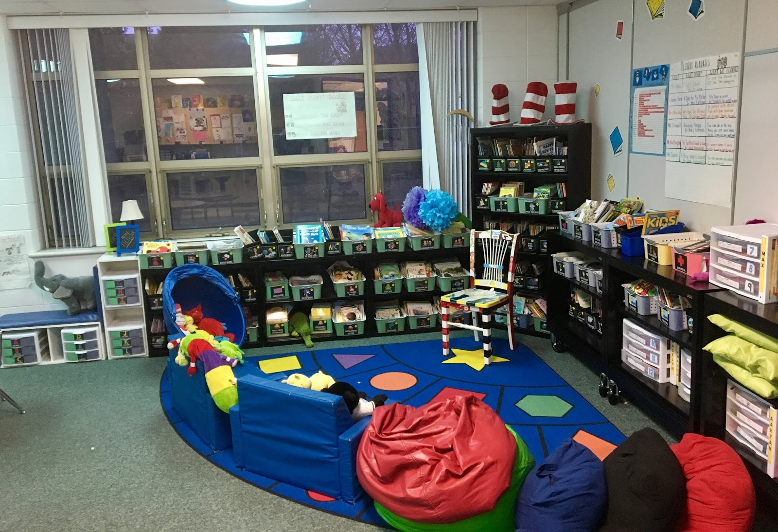 Two Lifelong Learners: Classroom Library