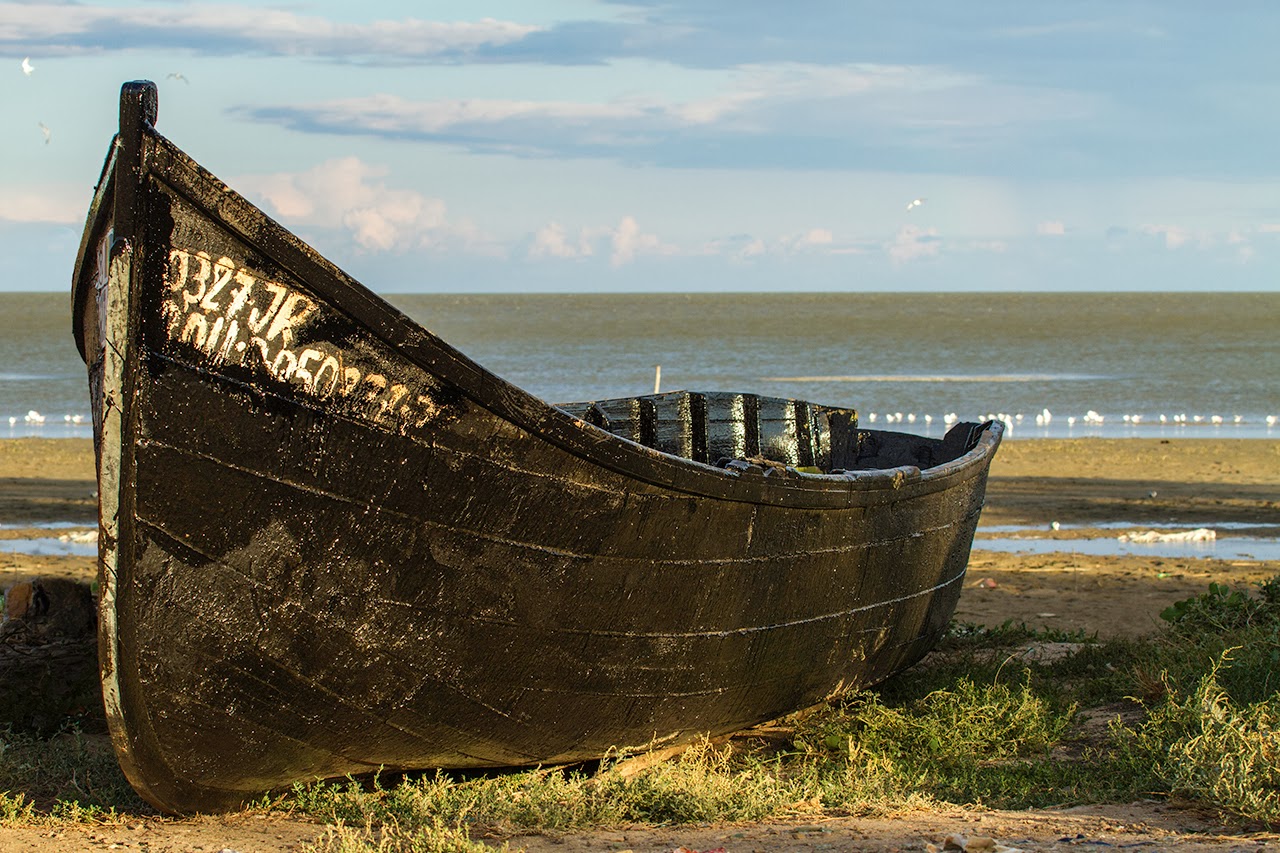Dan Tiganila: Lacul Razim (Razelm)