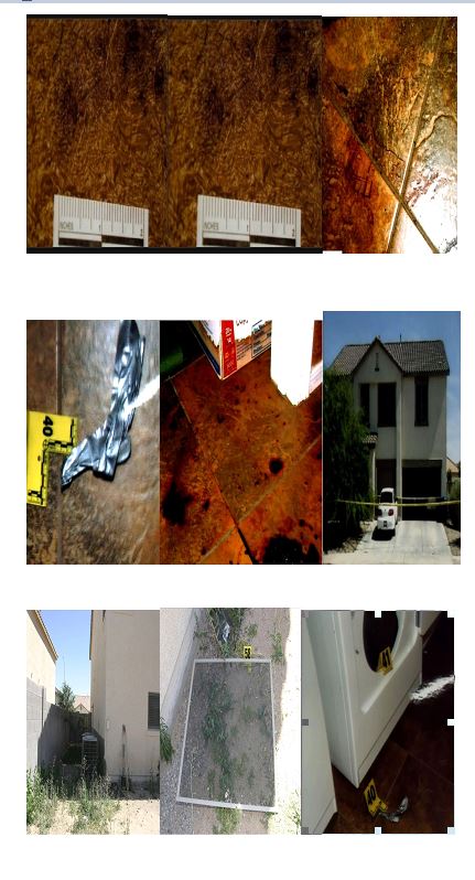 Morbitbuzz: The Crime Scene! It's a bloody mess!!