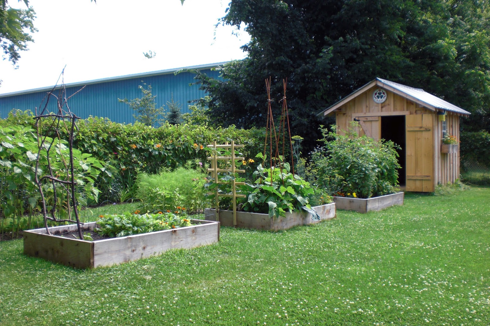 The Violet Fern: Potager (Kitchen Garden)