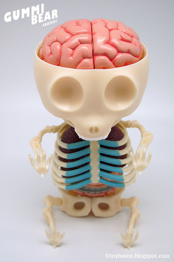 toyhaven: Review Artist Jason Freeny and 4D Master 41-piece 3D Gummi ...
