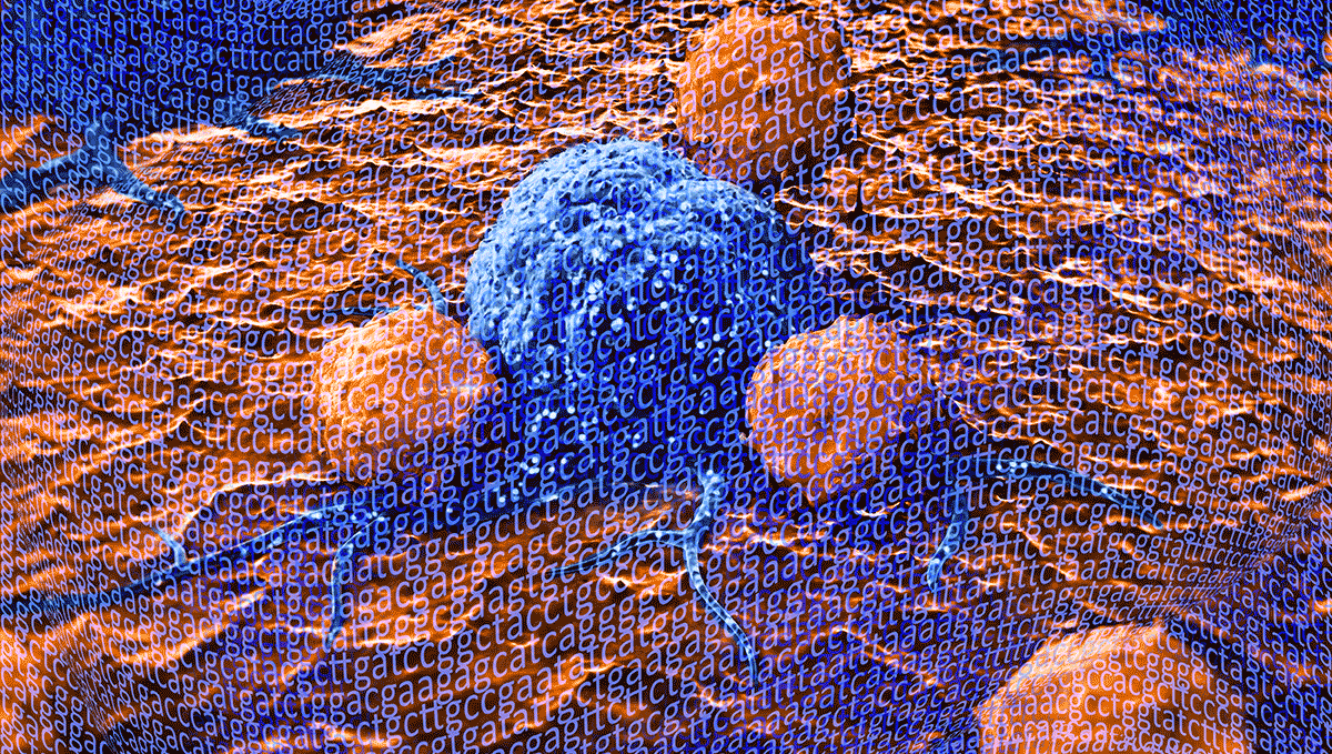 The Arts, Sciences and Medicine: TUMOR INFILTRATING LYMPHOCYTES (TILs)