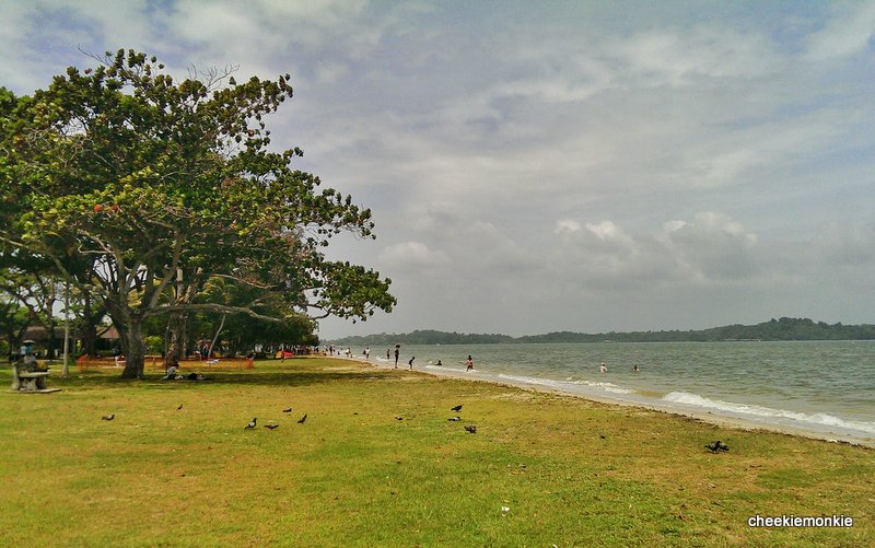 Cheekiemonkies: Singapore Parenting & Lifestyle Blog: With 2 ...