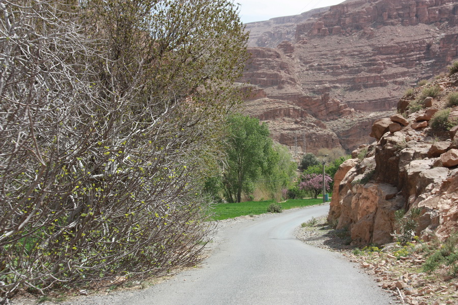 Notre tour du Maroc 2014: 22 mars - du Todra à Goulmima via Assoul