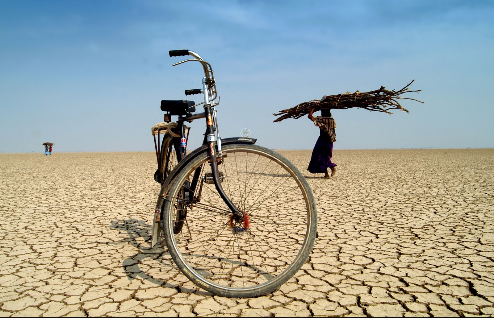 The Words and Madness of Chloe Stowe: Backpedaling