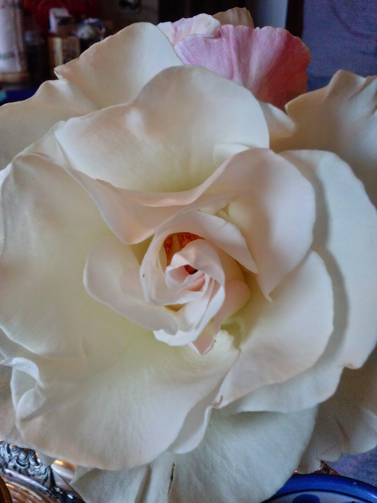 streghettacreattiva: Orecchini rosa modellati a mano impreziositi da ...