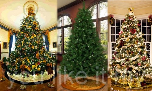 A Brief History of Christmas Trees