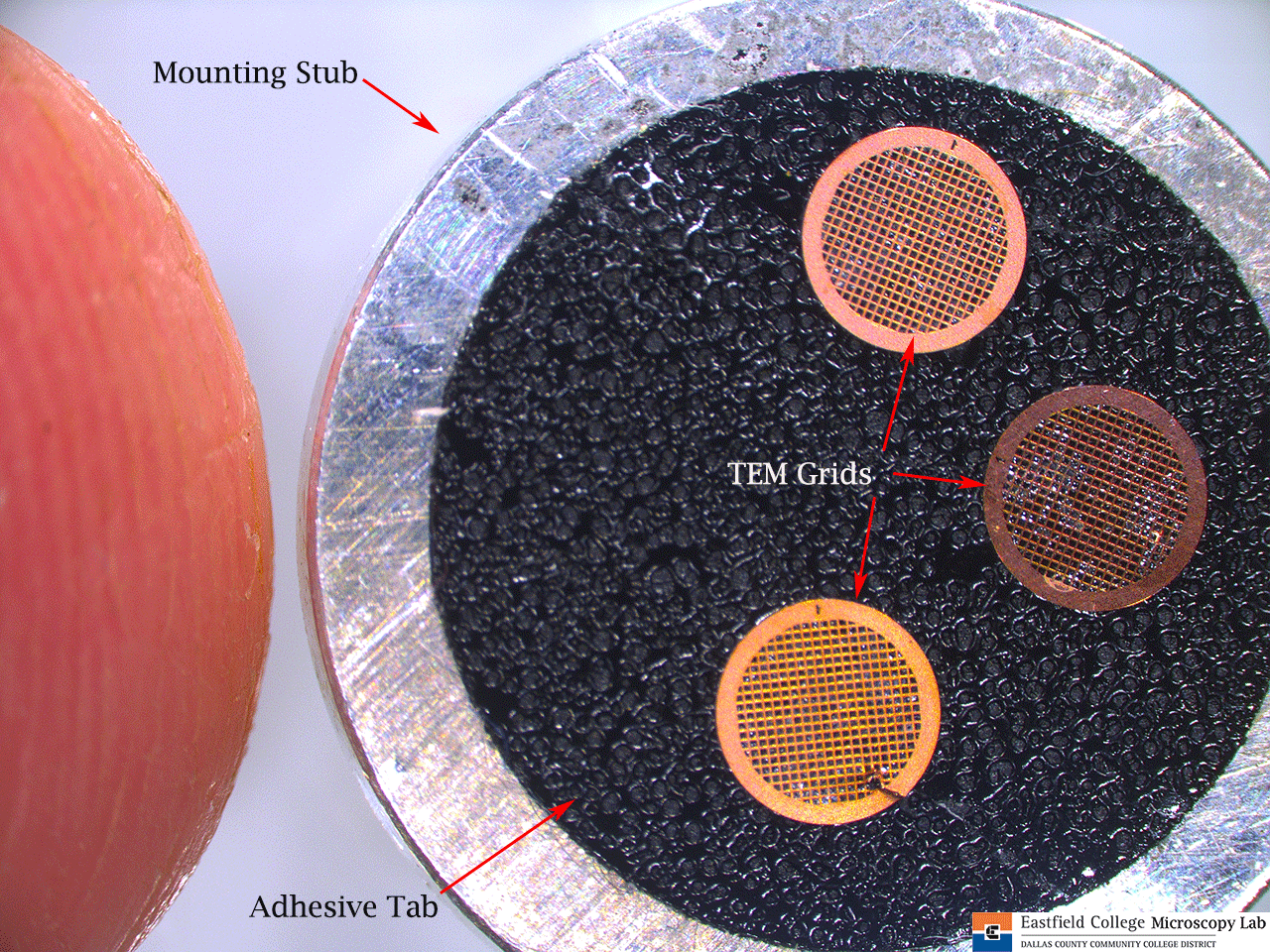 Scanning Electron Microscope Blog: June 2014