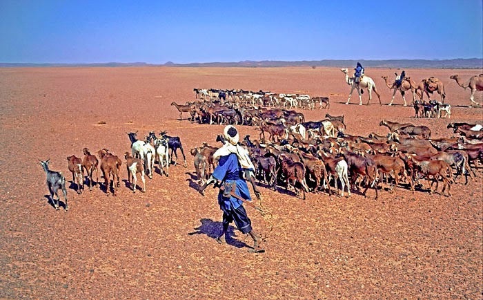 Fascinating Humanity: Sahara: Ancient Tuareg Caravan To Lybia