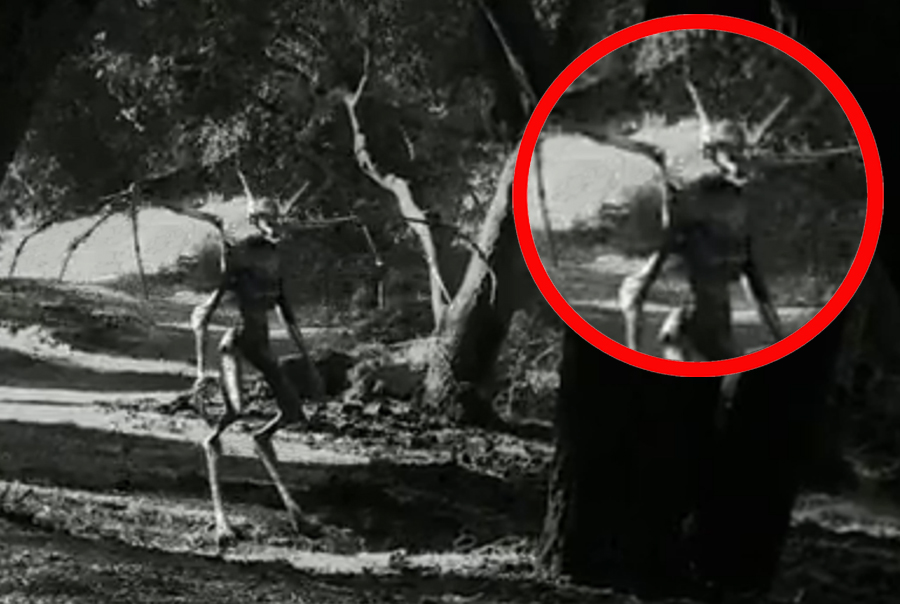 Pictures Of Demons Caught On Camera