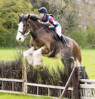 Horse Life and Love: Clydesdale Horses.