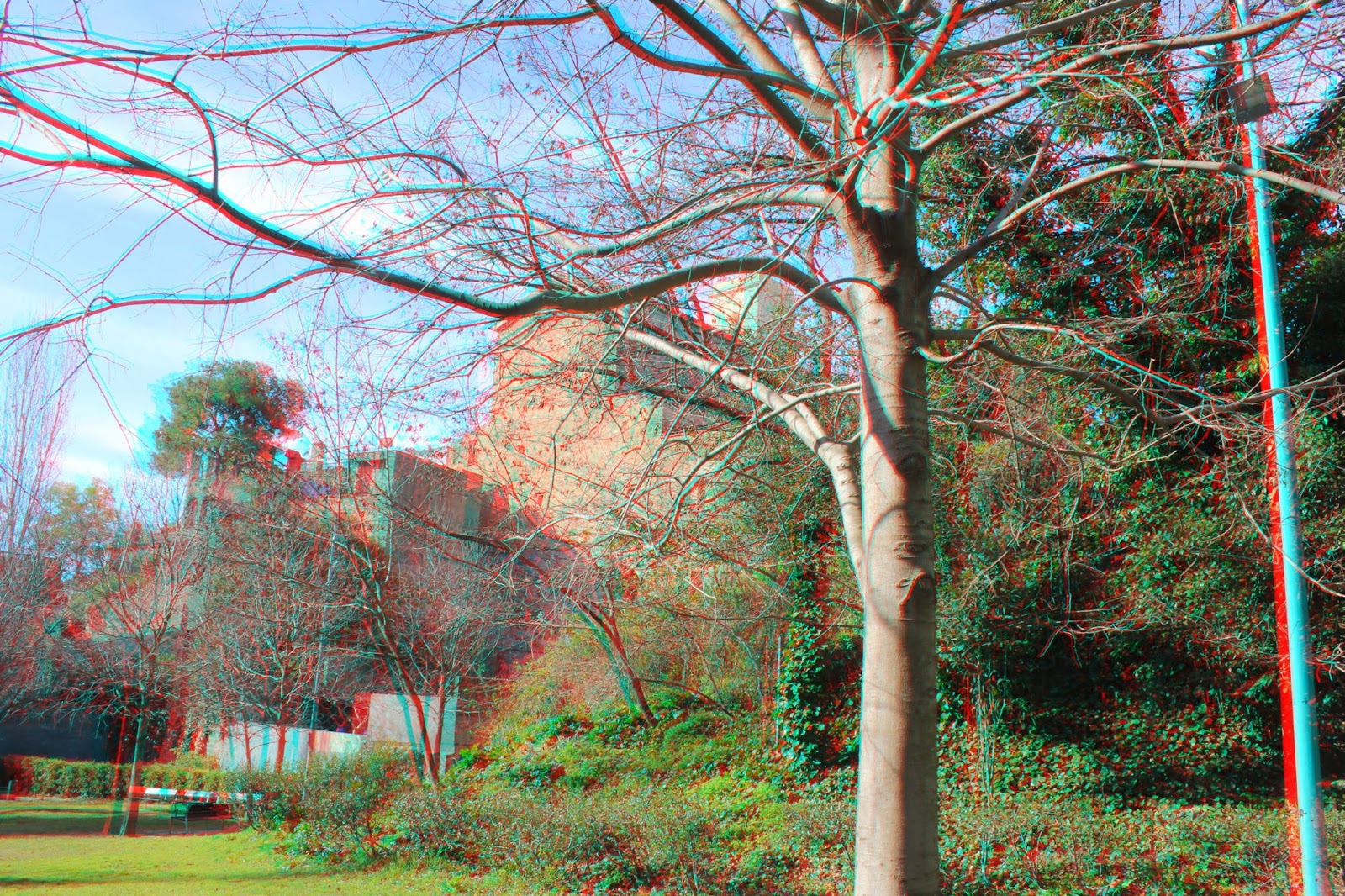 EL ANIMAL INVISIBLE: Enseñanzas artísticas y estereoscopia. Fotografía ...