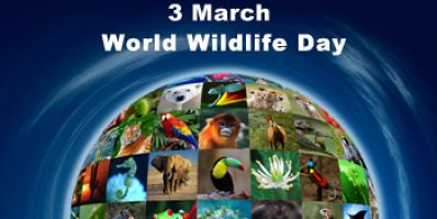March 3: World Wildlife Day - CURRENT AFFAIRS