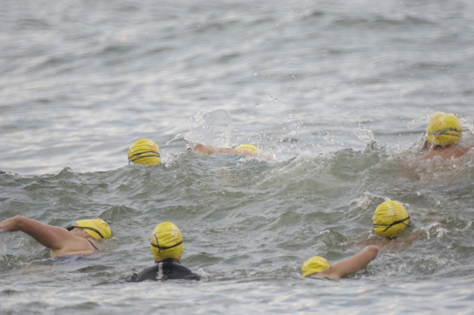 Open Water Swimming: Lake Erie Virtual Swim - How long is a mile?