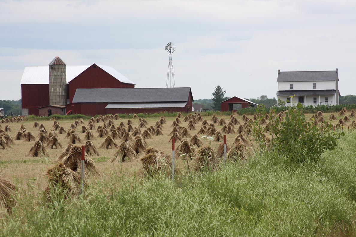 Michigan Exposures: Wandering Around Amish Country