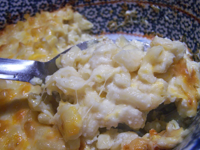 Go Ahead... Take A Bite!: Hubby's 5 Star Blue Ribbon Mac & Cheese
