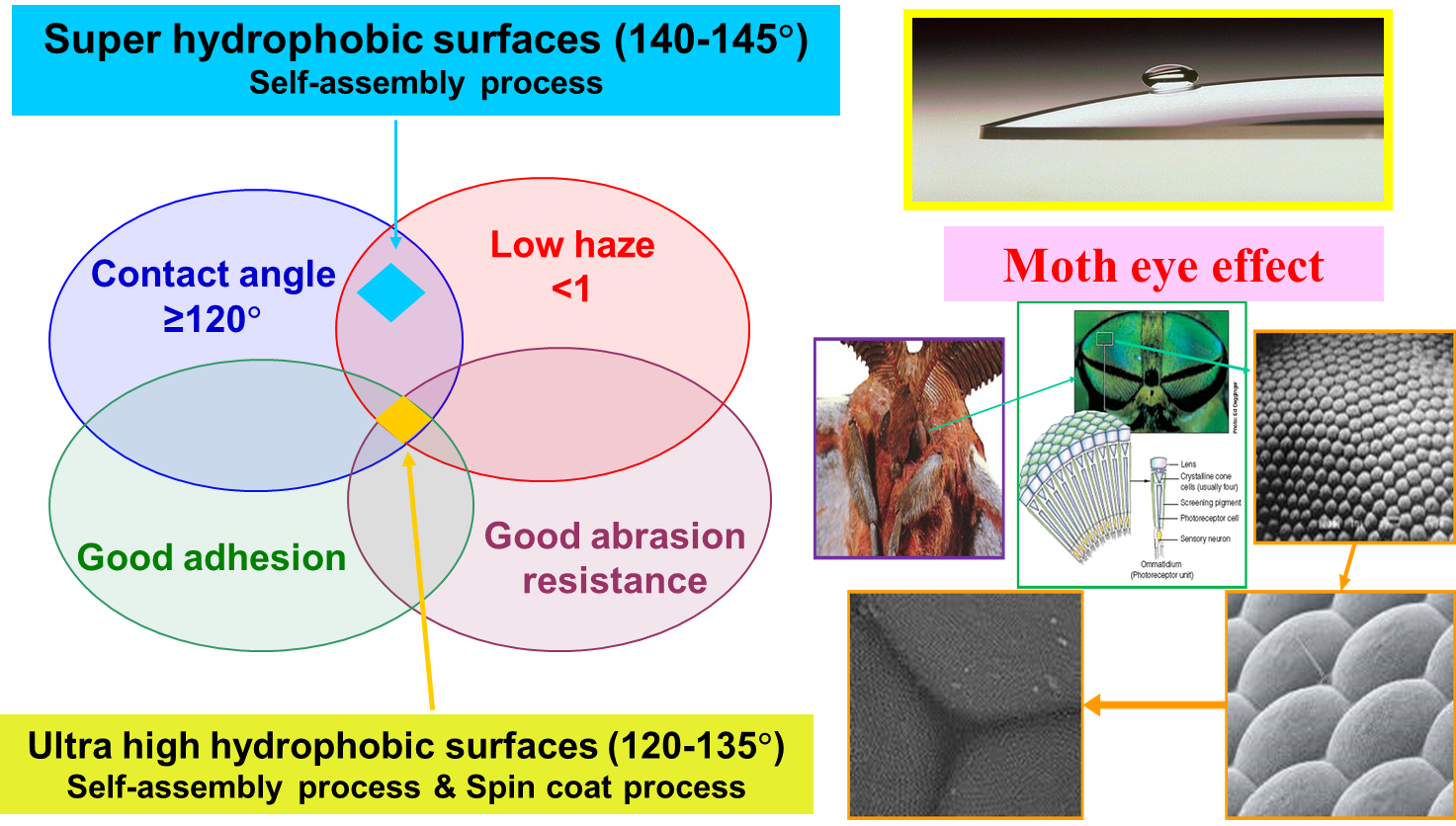 PIONEER Scientific Solutions, LLC: Ophthalmic Lens