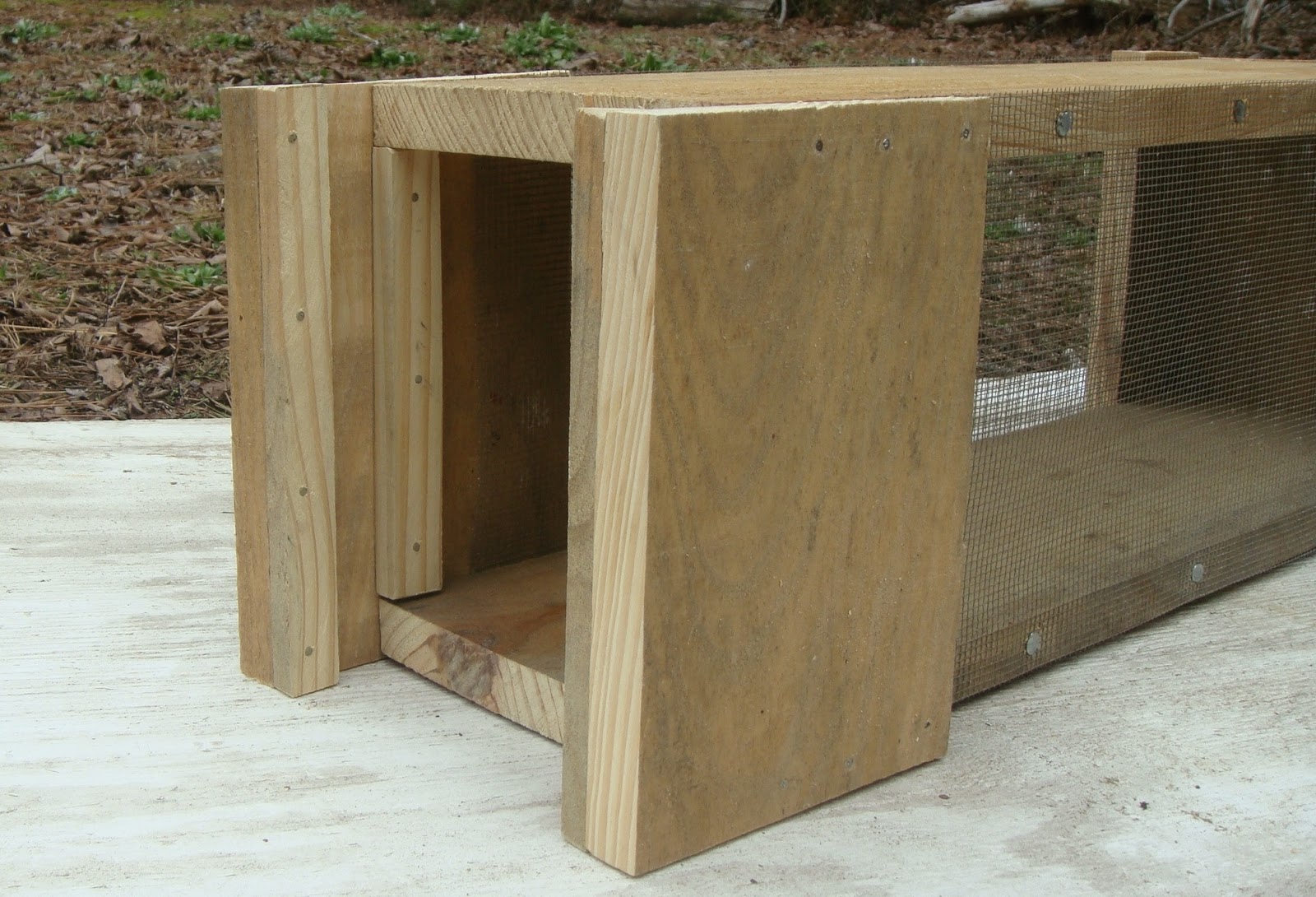 Sensible Survival: Build a Live Trap