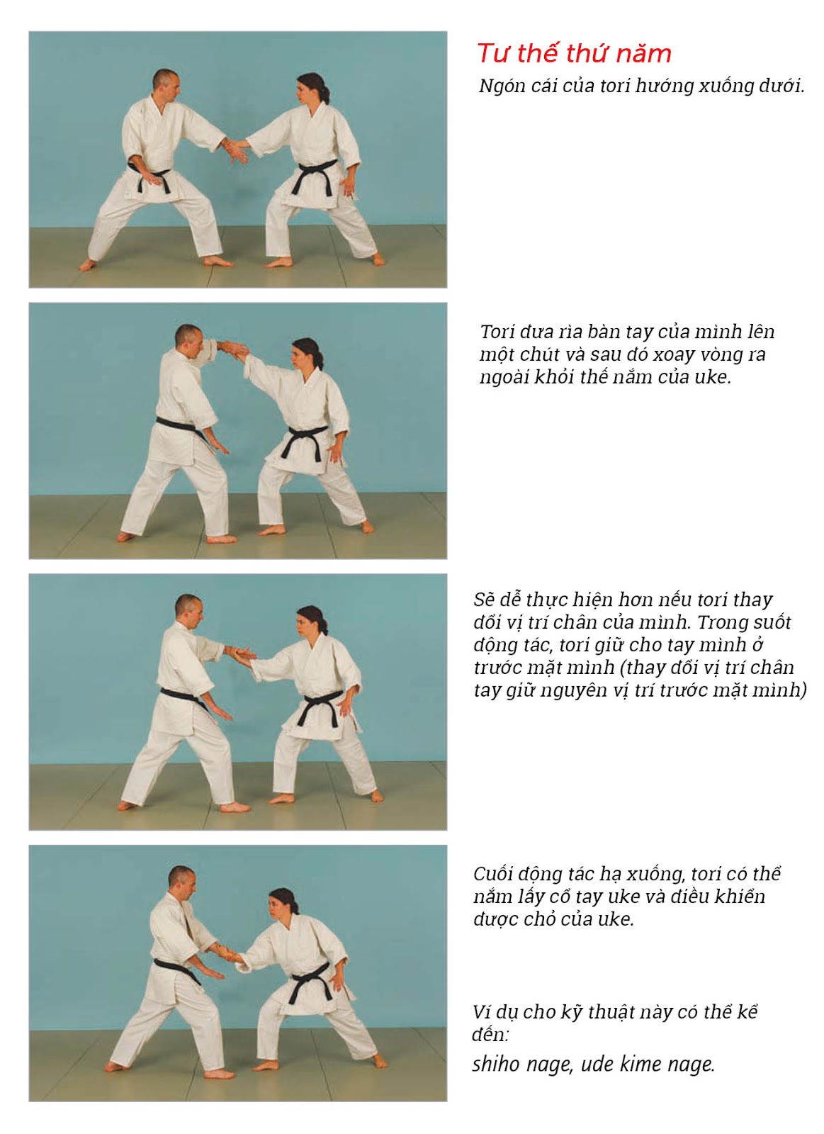 Các kỹ thuật tay trong aikido-phần 2: mở khóa khi bị nắm gyaku-hanmi ...