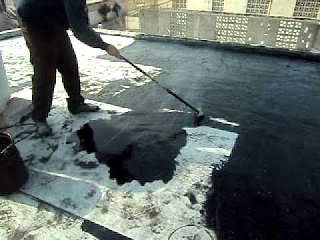 EL CAJON DE LOS CONOCIMIENTOS: CHAPOPOTE