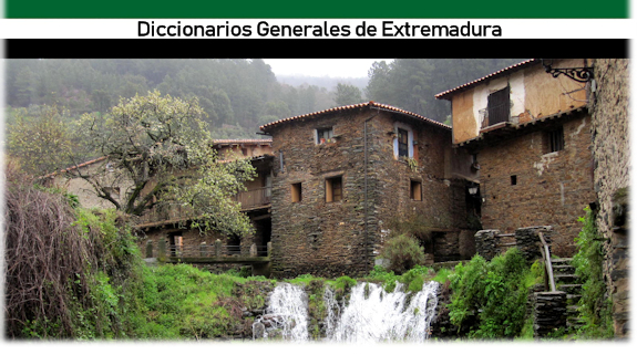 DICCIONARIO VIRTUAL DE EXTREMADURA: Diccionarios generales de Extremadura