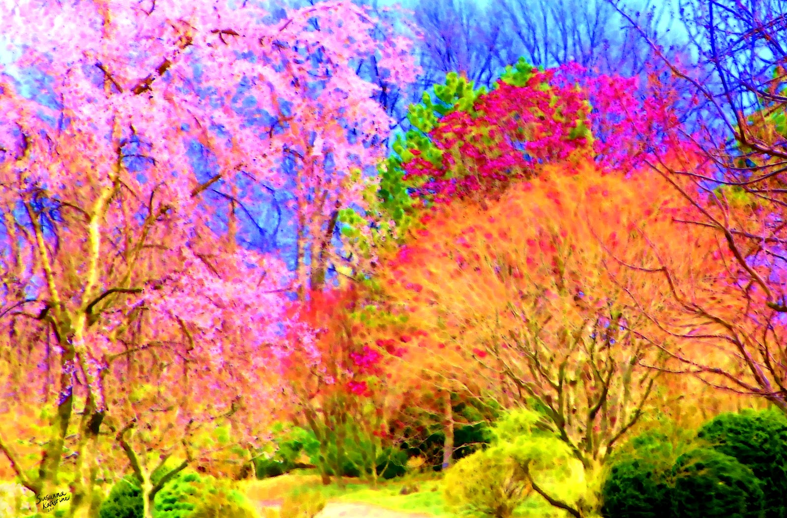 Colorful Tree Drawings