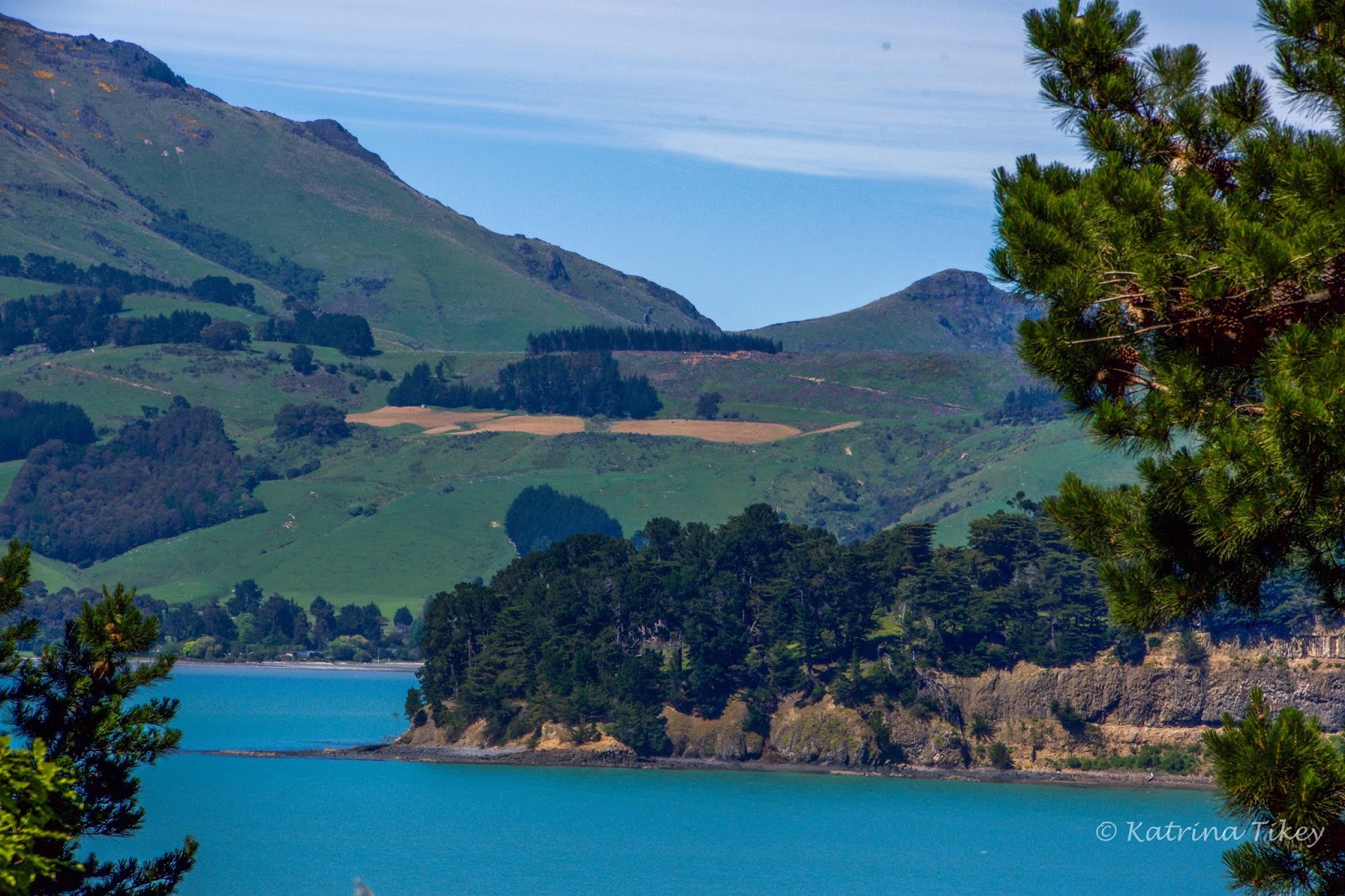 Paws Awhile: Beautiful Banks Peninsula