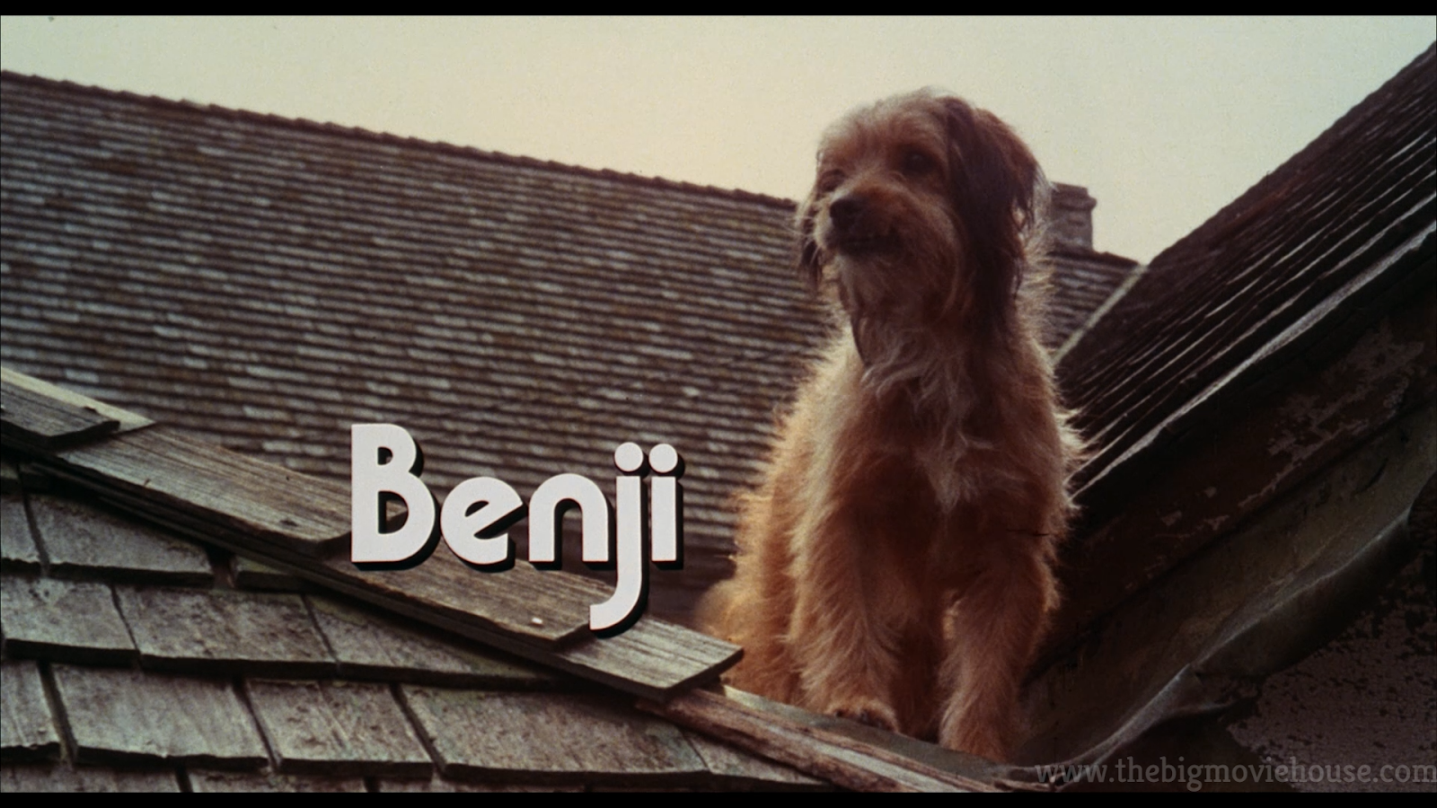Can We Keep Him? Benji (Mill Creek Entertainment) Blu-ray Review ...