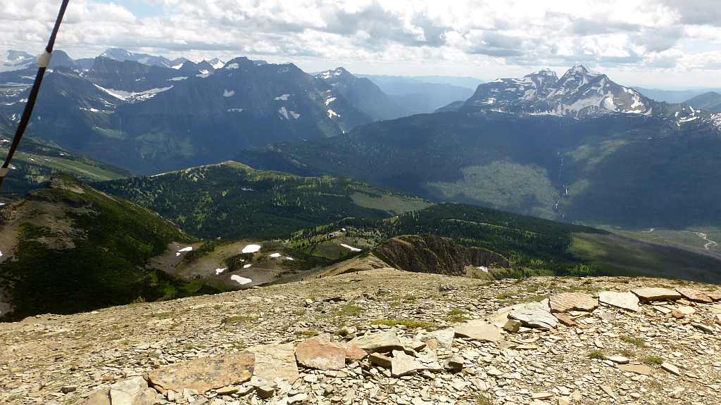 Tall Pines Hiker: Swiftcurrent Lookout