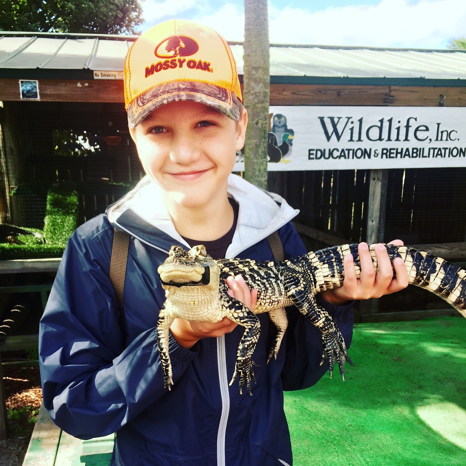 The Wandering Beaver