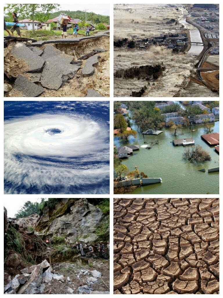 Nakama: Disaster Management