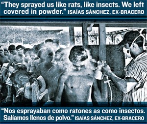 Palomino Productions: The Bracero program & Mexican farm workers in the ...