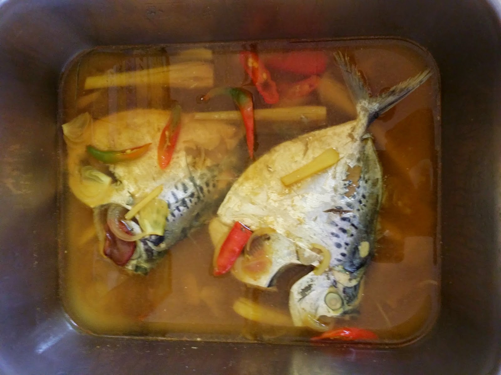 Xing Fu: IKAN KAPAK