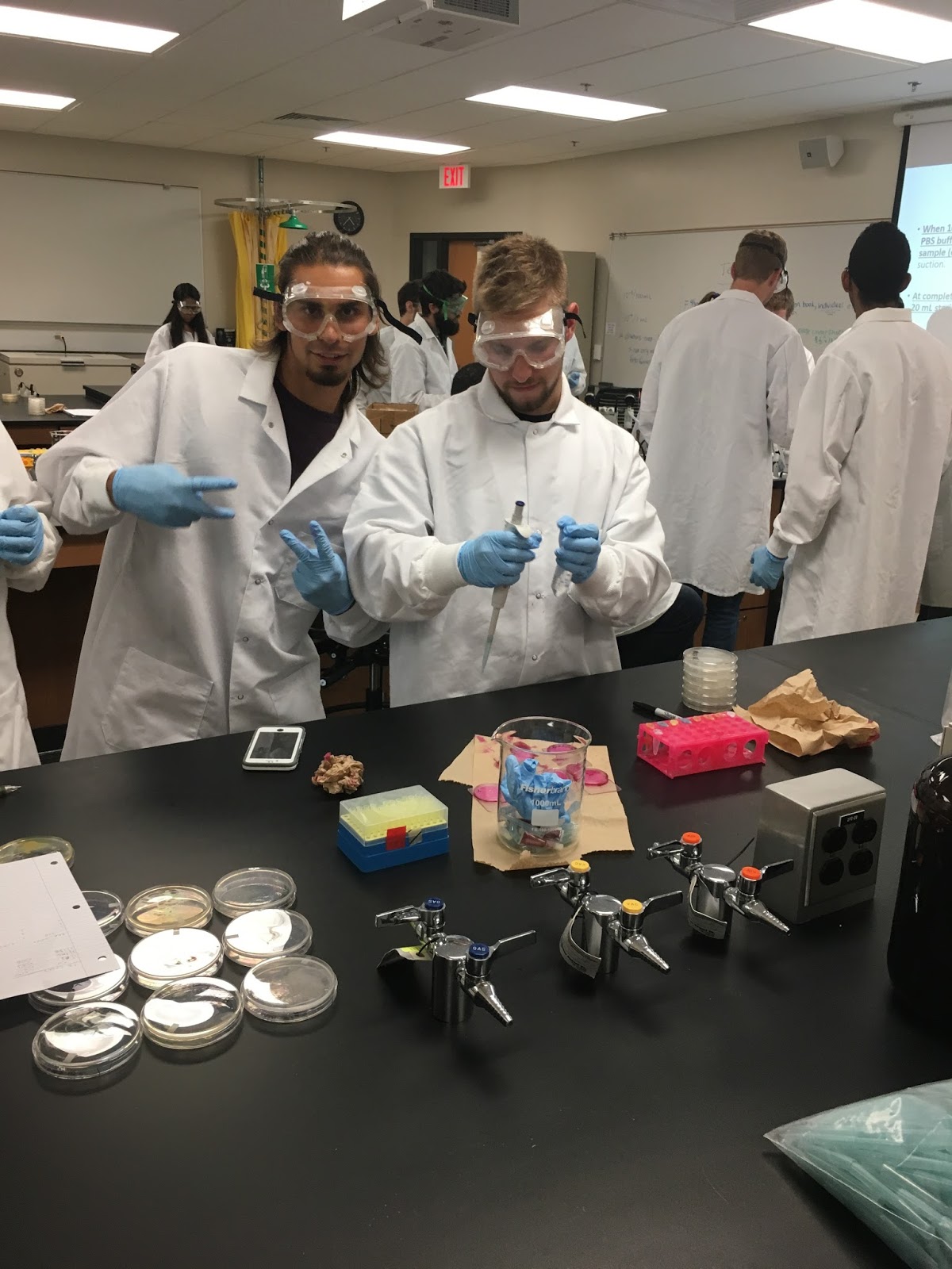 Lucas-Parmer: Lab #6 Coliform Determination by the Membrane Filter ...