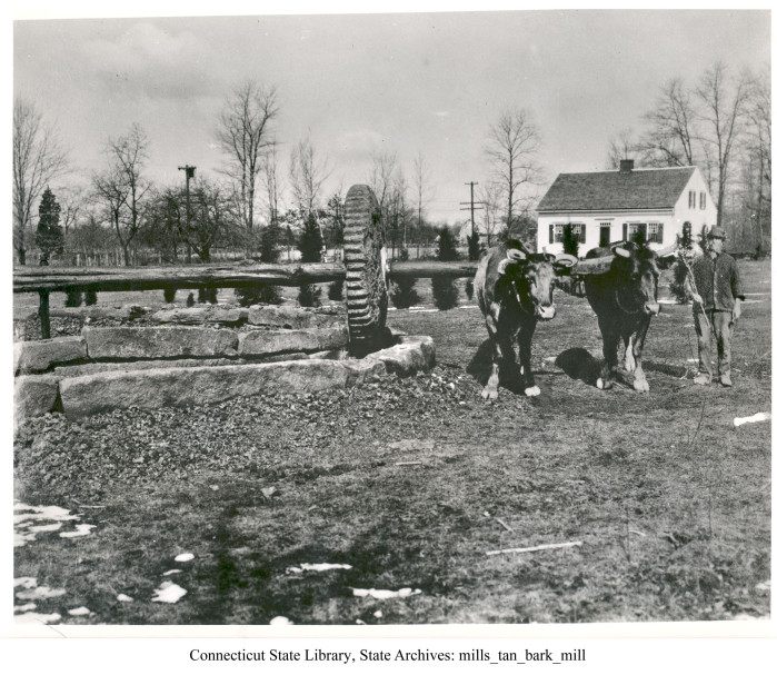 Delmar Historical And Art Society: Bark Mills