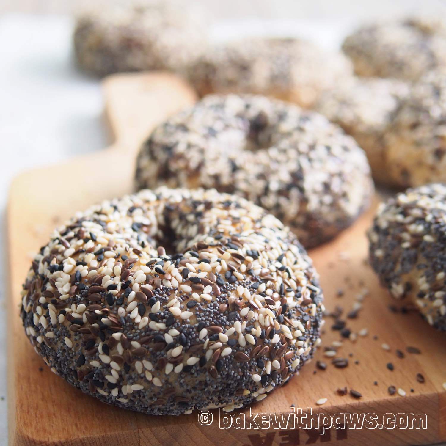 Bagels - BAKE WITH PAWS