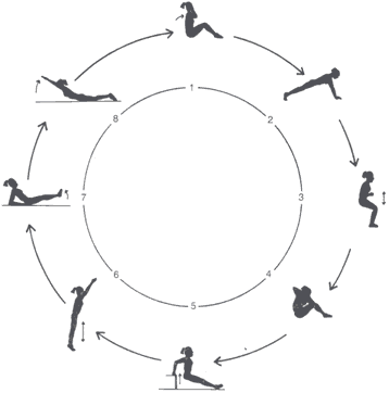 Cardio Trek - Toronto Personal Trainer: Combining Circuit Training with ...