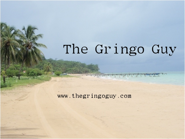The Gringo Guy: Getting To Know Barranco: Ocean, Hipsters & Colonial ...