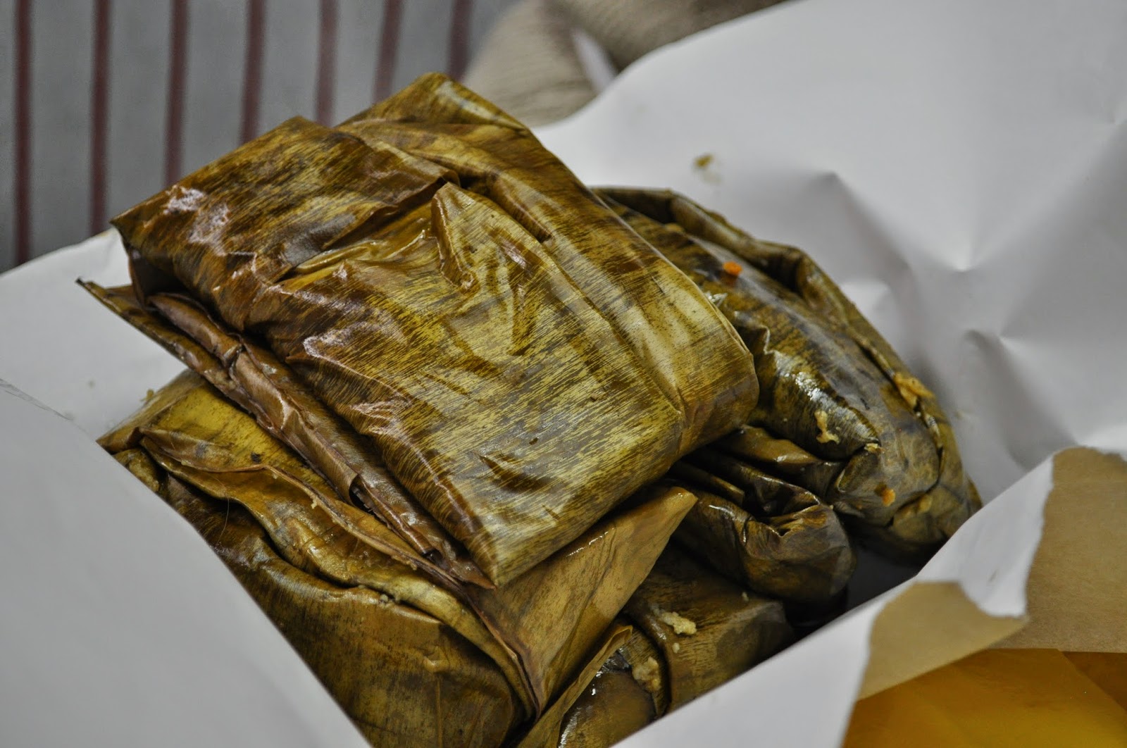 EL CHIPILÍN (Crotalaria longirostrata)