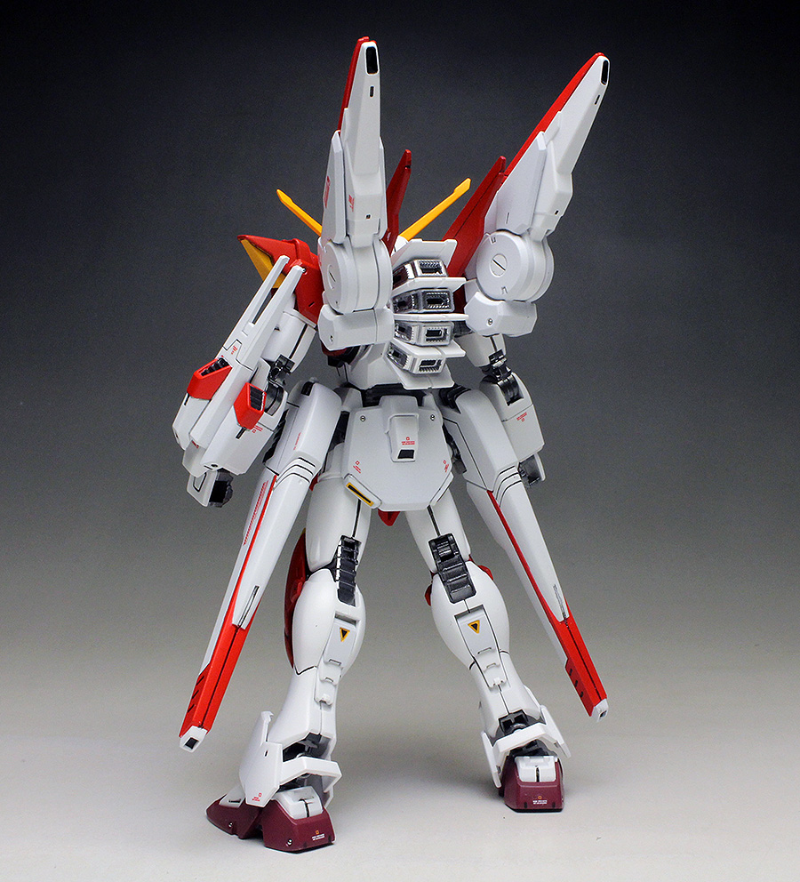 大光明株式會社: ZGMFXG's HGBF M91 / GUNDAM M91