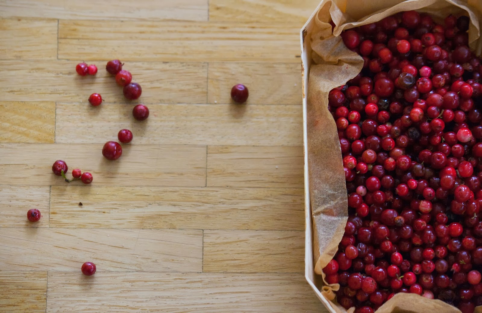 52 Plates of Delight: Der Alleskönner – die Preiselbeere