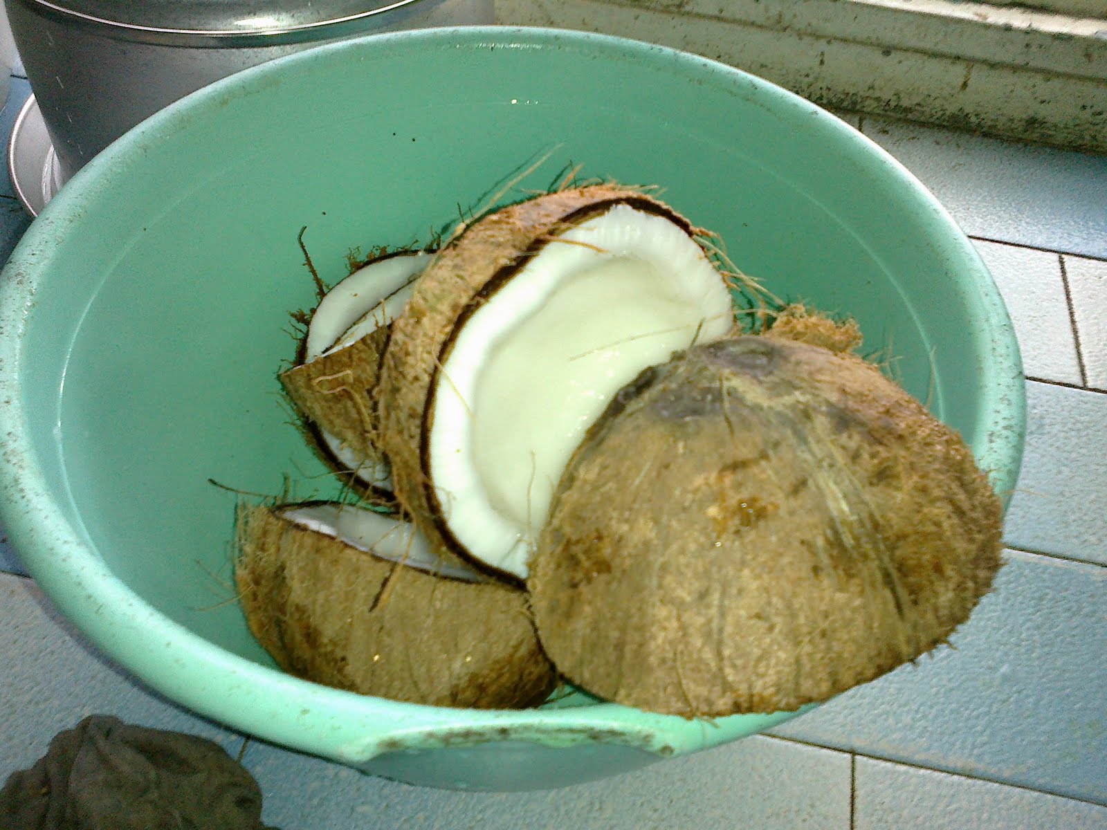 Just Imagine!: Pemarut Kelapa Tradisi