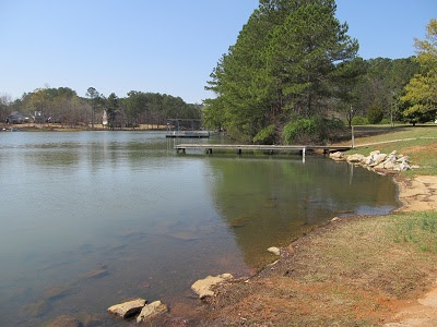 Access Management Group / Atlanta Property Management Professionals ...