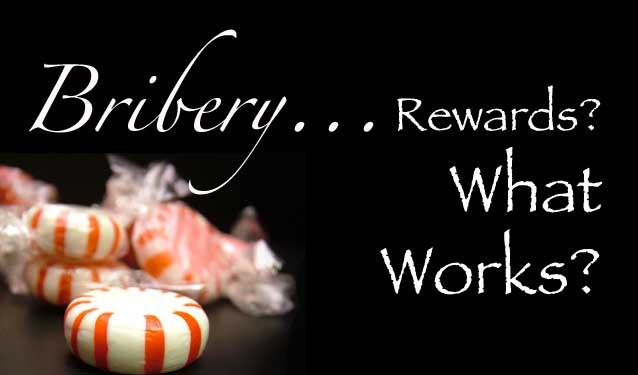 Terrierman's Daily Dose: Food Bribery Works