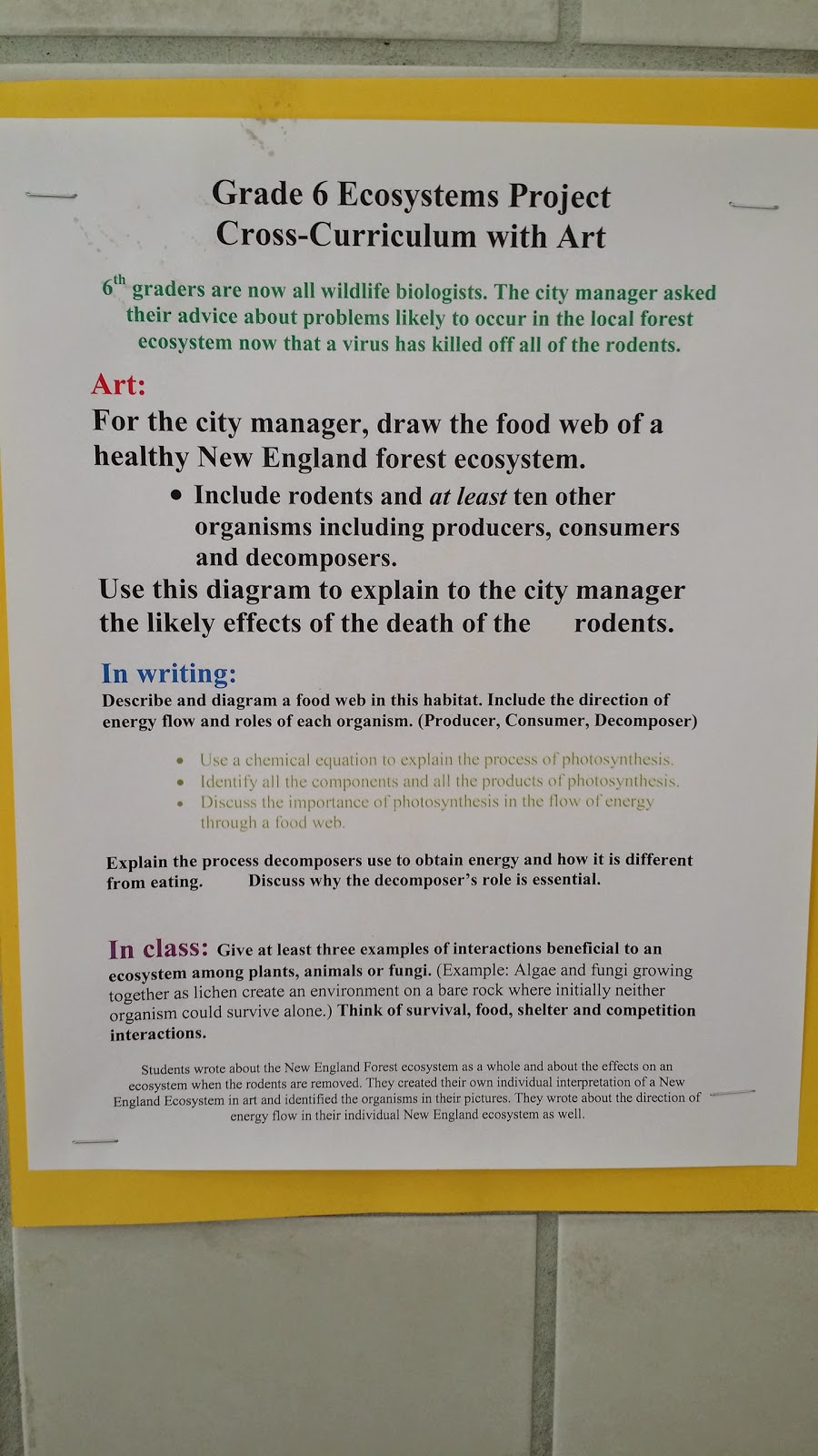 Argenziano Around School: Grade 6 Ecosystem Project