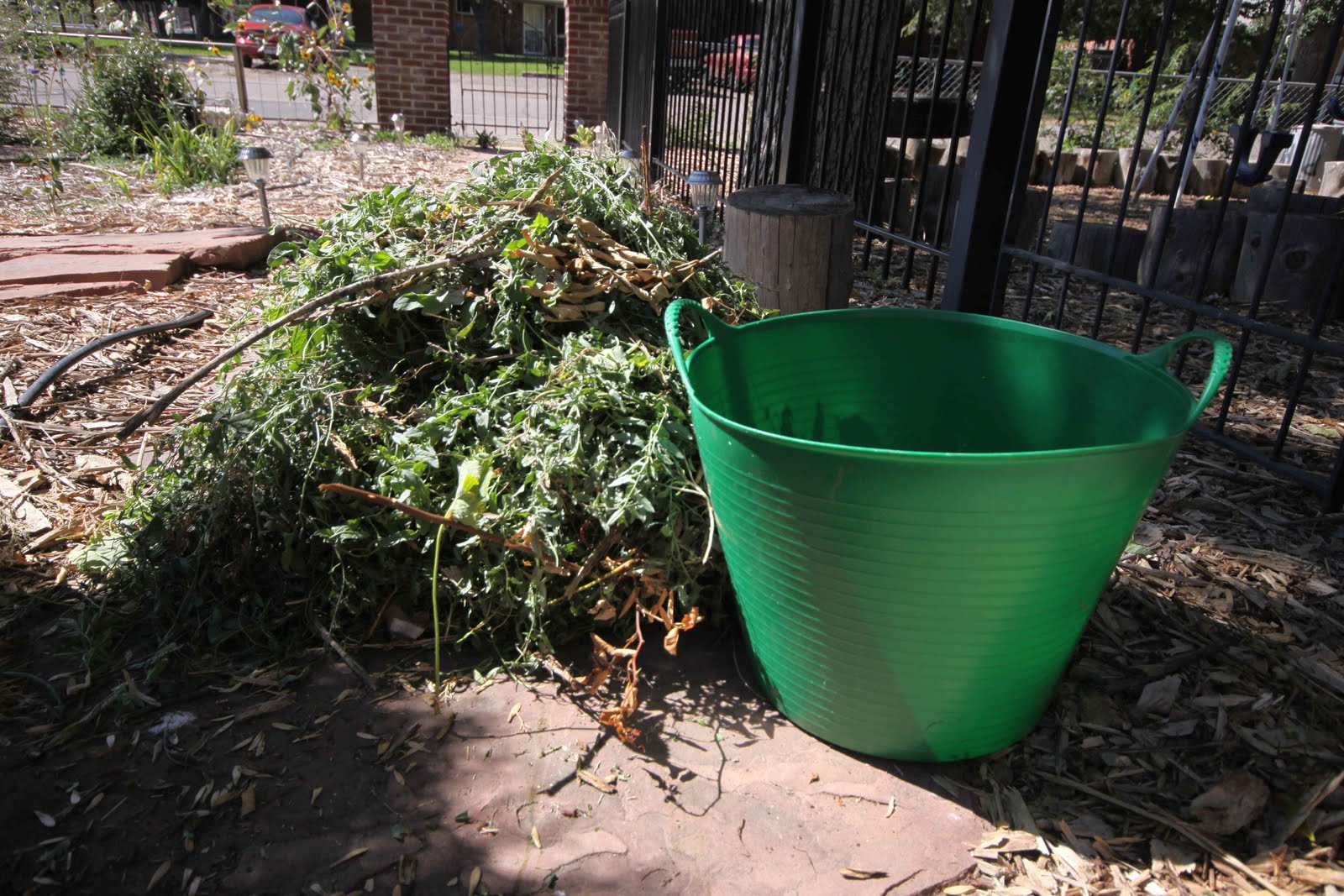 Grass Roots Micro Urban Horticulture: Making Peace with Field Bind Weed