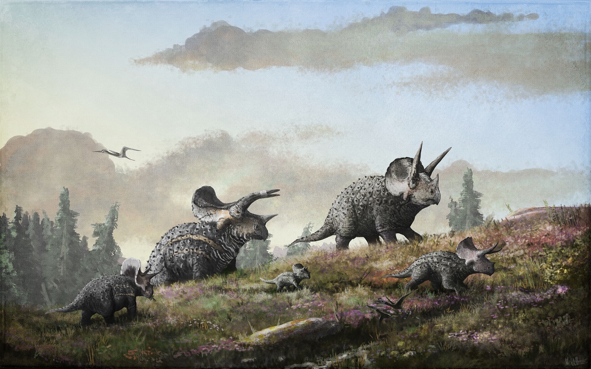 Does anybody know of any scientifically accurate Triceratops ...