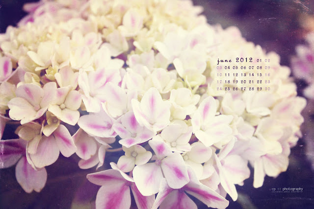 sassafras: june desktop wallpaper :: calendar :: nature photography